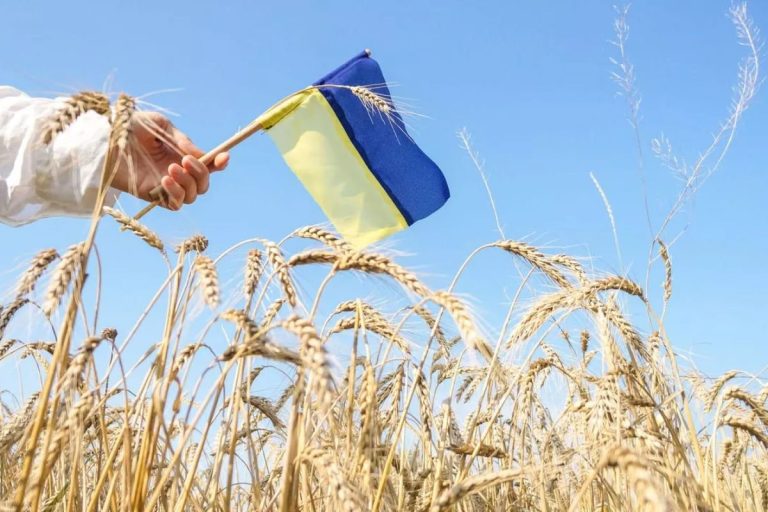Граничащие с Украиной страны: подробный обзор семи соседей - visnyk ...